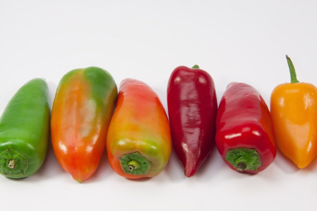 Snacking Peppers - Organic Produce Direct